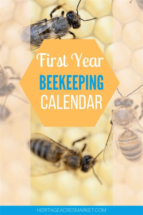 The Beekeepers Calendar Bee Keeping Honey Bees Keeping Backyard Bee