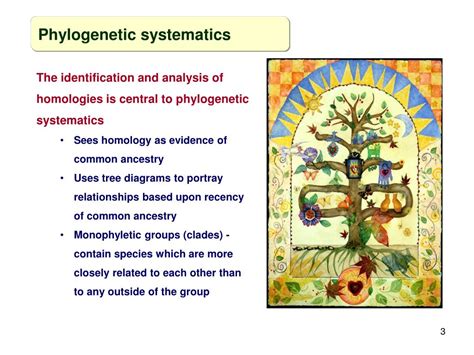Ppt Phylogenetic Analysis Powerpoint Presentation Free Download Id