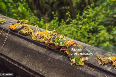 발리 힌두교 제물 라는 가낭 카낭 사리는 칭찬과기도에 상 향 위디 와사감사 발리 힌두교에 의해 만들어진 매일 제공 중 하나이며 발리의 모든 곳에서 볼 수 있습니다 0명에