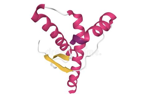 Human Prion Protein Hprp Stock Illustration Illustration Of Amino