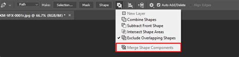 solved complex paths do not convert to selection with hol adobe
