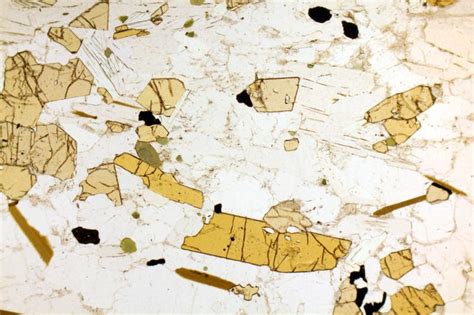 Staurolite Thin Section