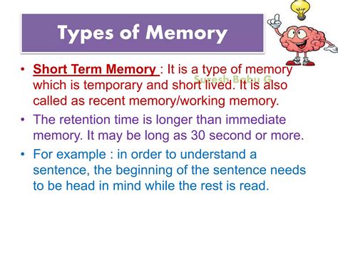 Memory Definition Types Of Memory Factors Influencing Memory And