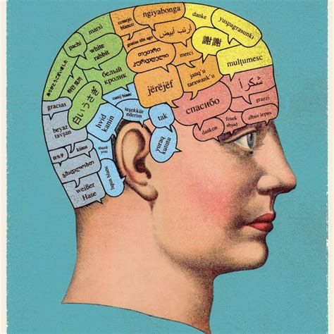 Ev Fedorenko Mit Mcgovern Institute