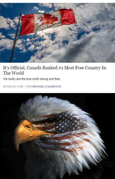 In Your Face  On Imgur