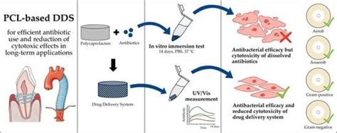Versatile Polycaprolactone Based Drug Delivery System With Enhanced