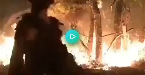 Me Going Through My Browser History After Im Done Album On Imgur