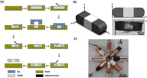 Fabrication Of The Aquatic Microrobot And Electromagnetic Actuation Download Scientific Diagram