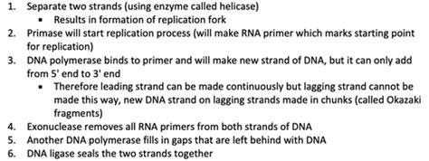 Module 5 Flashcards Quizlet