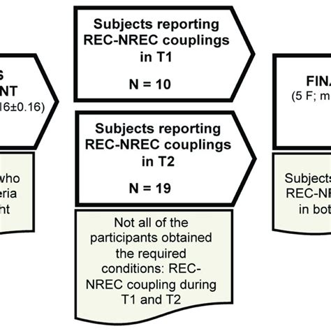 Flowchart Of The Final Sample Selection Procedure Rec Recall Nrec Download Scientific Flowchart Of The Final Sample Selection Procedure Rec Recall Nrec Download Scientific