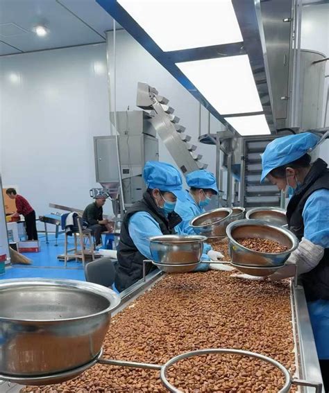 Automatic Grains Nut Packing Machine Cashews Quantitative Filling Line Zhengzhou Thrive Trade