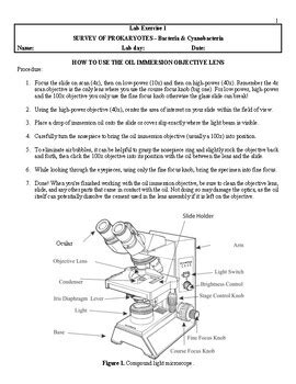 General Biology 2 Lab Manual By Helene Peters Tpt