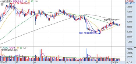 실리콘투 주가 And 전망 장중 분석 데이터 250116