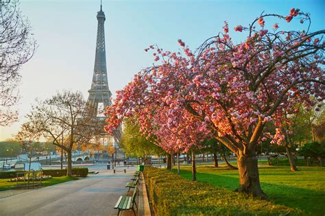 Travel Tips Paris In March