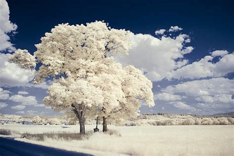 Infrared Photography A Beginners Tutorial