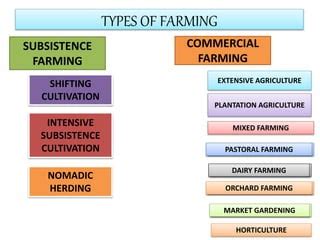 Agriculture Pptx