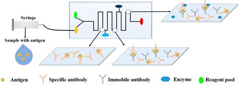 Microorganisms Free Full Text Microfluidic Based Approaches For Foodborne Pathogen Detection