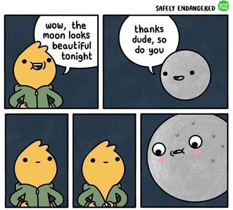 I Found The Flat Earth Eclipse Model R Flatearth