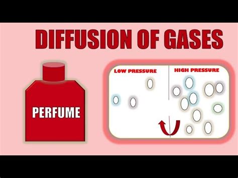 Diffusion Example