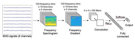 Cnn Based Classification Approach For Walking Gait Recognition Download Scientific Diagram
