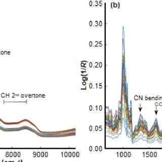Original Spectra Of A Ft Nir And B Ft Ir Download Scientific Diagram
