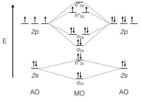 Chemistry Orbital Diagram Worksheet