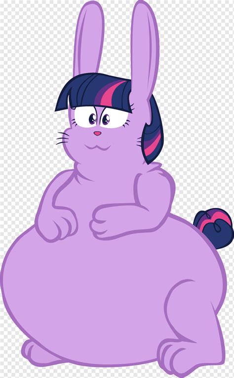 Fat Bunny Cartoon