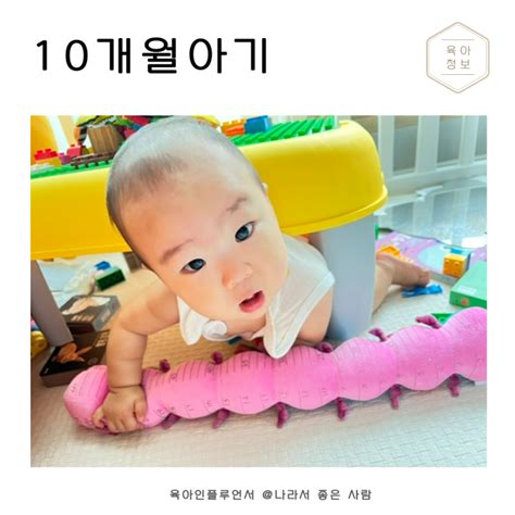생후 10개월 아기 발달 과정 걸음마를 시작해요 네이버 블로그
