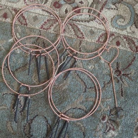 Twisted Copper Spider Web Trellis Spider Gemstone Plant Trellis Hoya