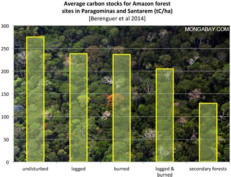 Replanting Trees After Logging