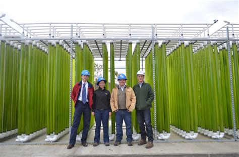 Caer Scientists Duke Energy Demonstrate Algae Based Carbon Capture System Uknow