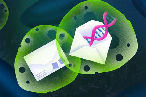 CRISPR Cas The Gene Editing Tool Changing The World