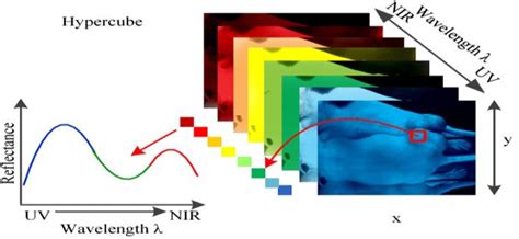 Hyperspectral Cube Showing Spectral Signatures Download Scientific