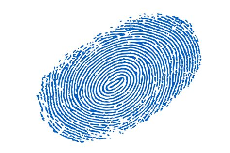 Fingerprint Pngs For Free Download
