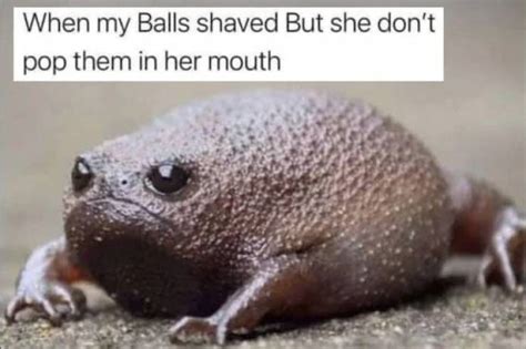 If You Like Sex Youll Like These Sex Memes As Well 68 PICS Izispicy Com