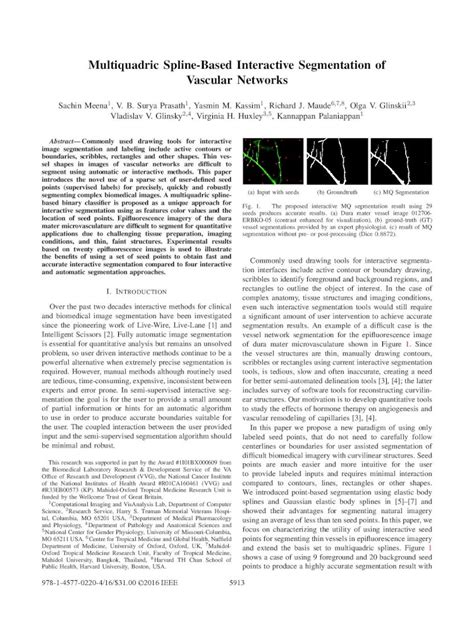 pdf multiquadric spline based interactive image segmentation cell