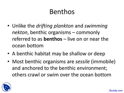 Benthos Introduction To Oceanography Lecture Slides Docsity