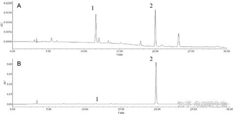 空间代谢组整合网络毒理学和质谱成像探究何首乌d组分肝毒性机制 知乎