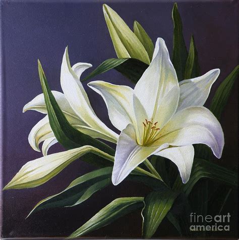 White Lily Painting