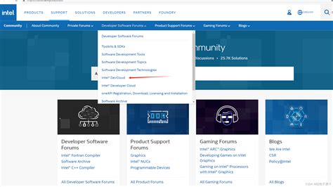 Intel® Devcloud For Oneapi学习记录在devcloud平台打开终端 Csdn博客