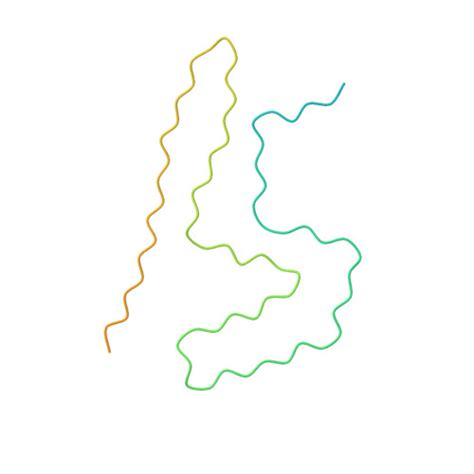 rcsb pdb 8a9l cryo em structure of alpha synuclein filaments from
