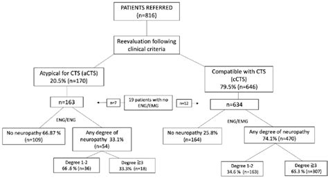 Flow Chart According To Clinical Classification And Engemg Results