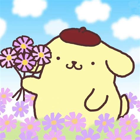 Pompompurin Profile Pictures Gatito Fondo De Pantalla Sanrio Sanrio Hello Kitty