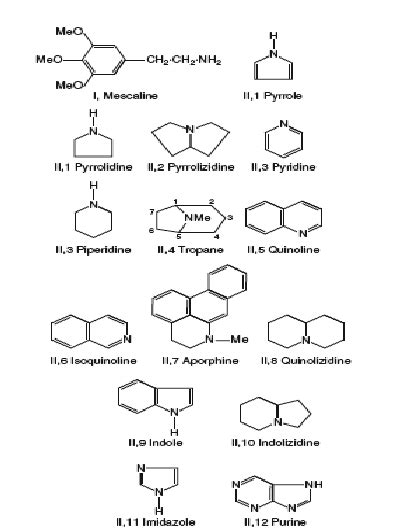 1 Structure Of Alkaloids Download Scientific Diagram