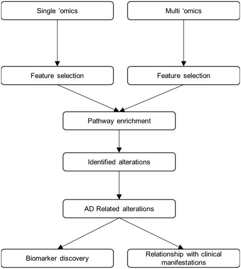 Frontiers The Promise Of Multi Omics Approaches To Discover Biological Alterations With
