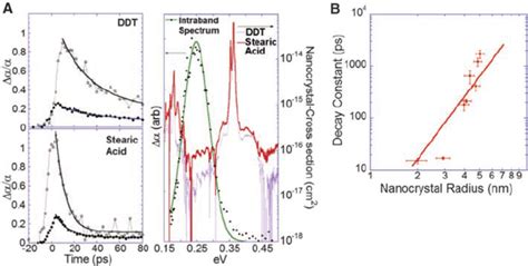 Sensitivity Of The Intraband Relaxation Dynamics To The Sample Ir Download Scientific Diagram