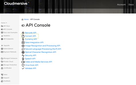 How To Convert Excel Xlsx To Pdf In Python Cloudmersive Apis