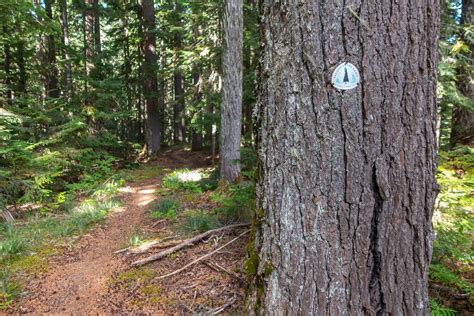 Pacific Crest Trail Pct Stampede Pass To Tacoma Pass — Washington