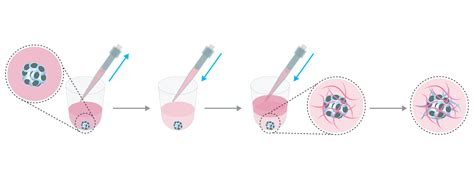 Twbinfograph Use A U Well3d Spheroid Invasion Assay 01 Thewell
