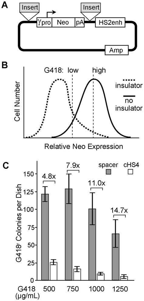 Plasmid Based Colony Assay Is Sensitive To Experimental Parameters A